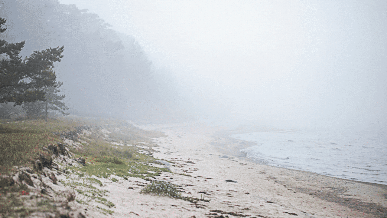 Randade ja kallaste kaitseks — Eesti Keskkonnaühenduste Koda